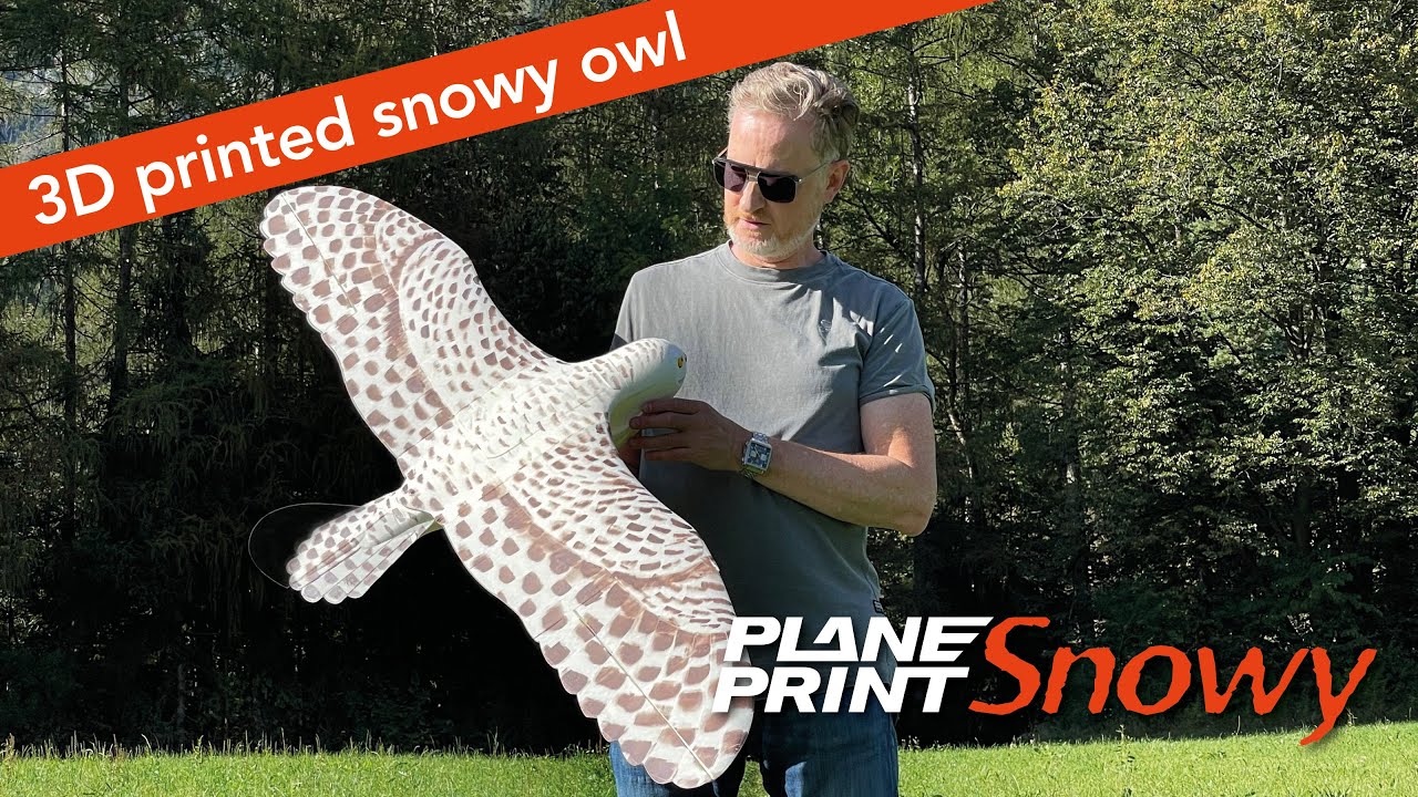 Planeprint SNOWY official Video - YouTube