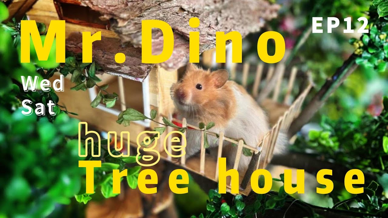 Mr Dino Tree house EP12（Hamster) - YouTube