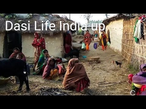 Real life India daily Routine Farmer[] Uttar pradesh Village Life ...