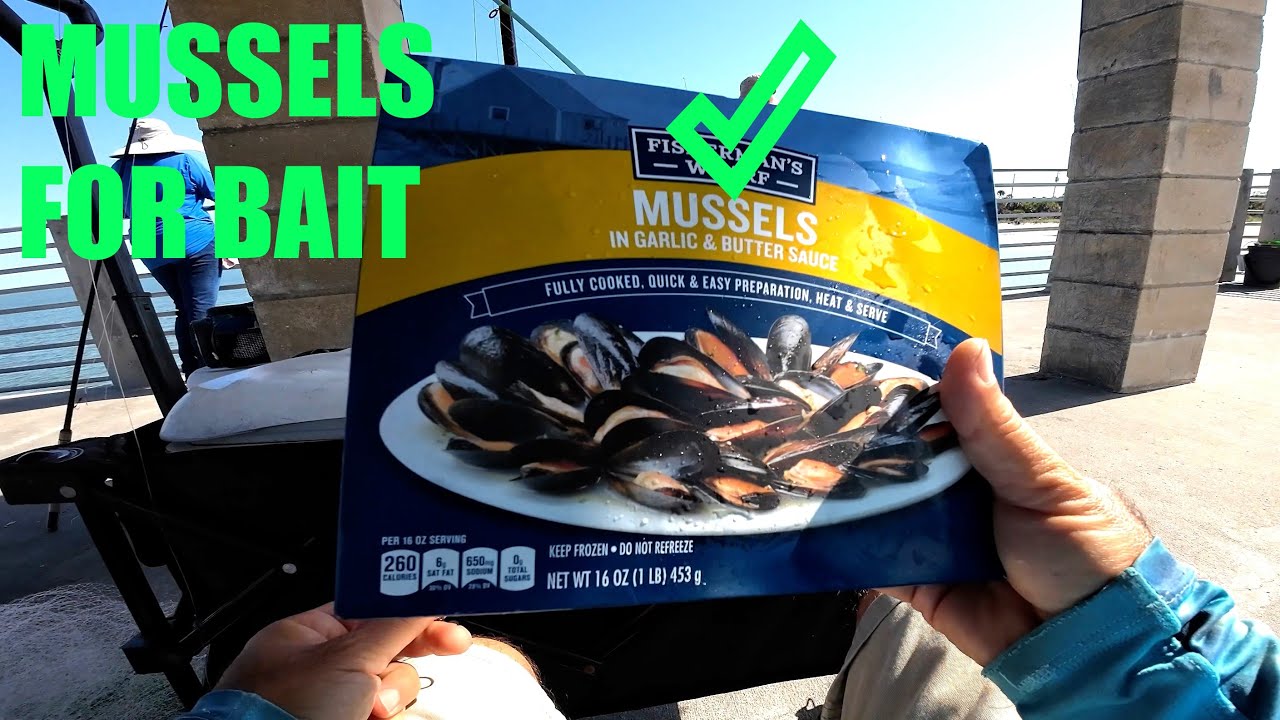 Mussels For Bait - Fish simply Cannot Resist Them - YouTube