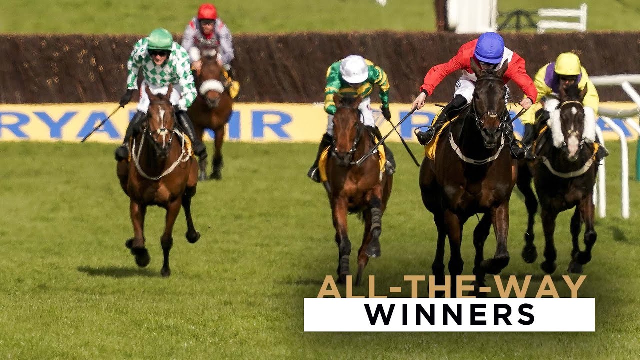 9 ASTONISHING ALL-THE-WAY WINNERS AT THE CHELTENHAM FESTIVAL - YouTube
