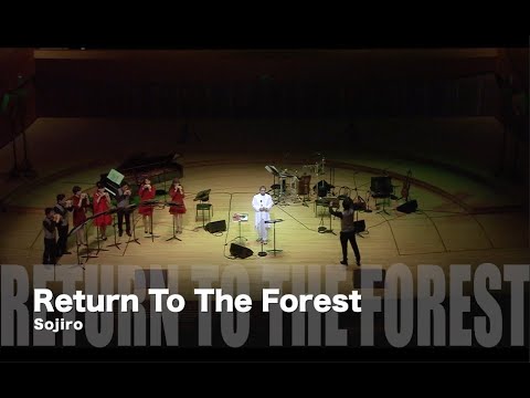 Retuern To The Forest - Sojiro - YouTube Music