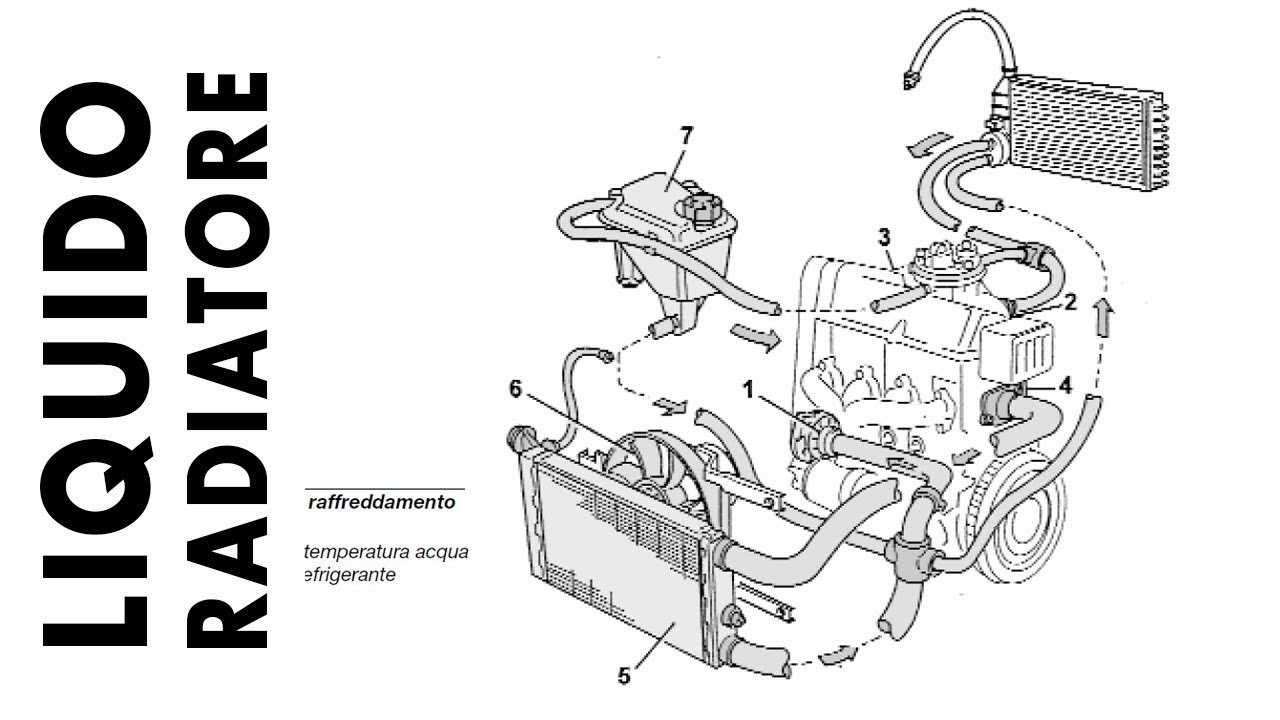 abilità forno Leia fiat 600 non funziona riscaldamento Amata egiziano ...