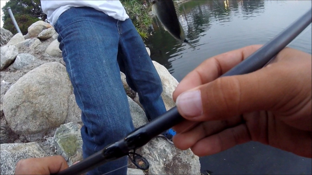 Big Bass Youtube