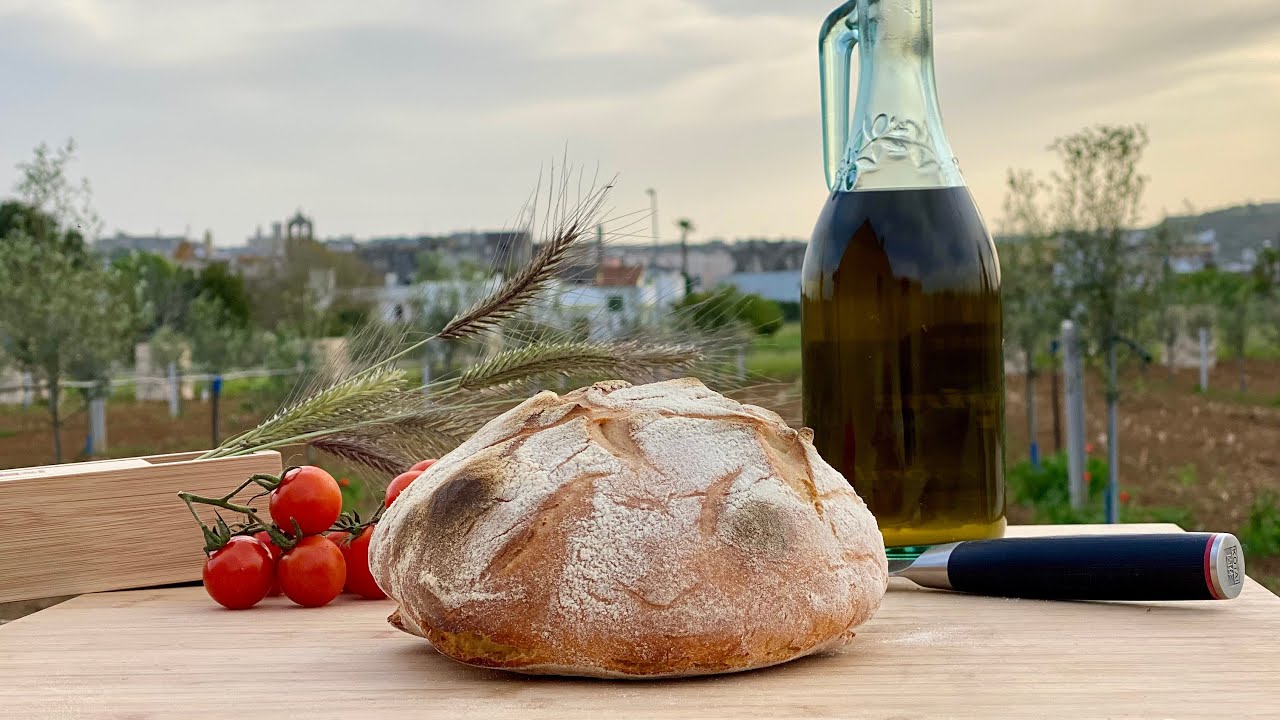 PANE di ALTAMURA fatto in casa ricetta originale Pugliese - YouTube
