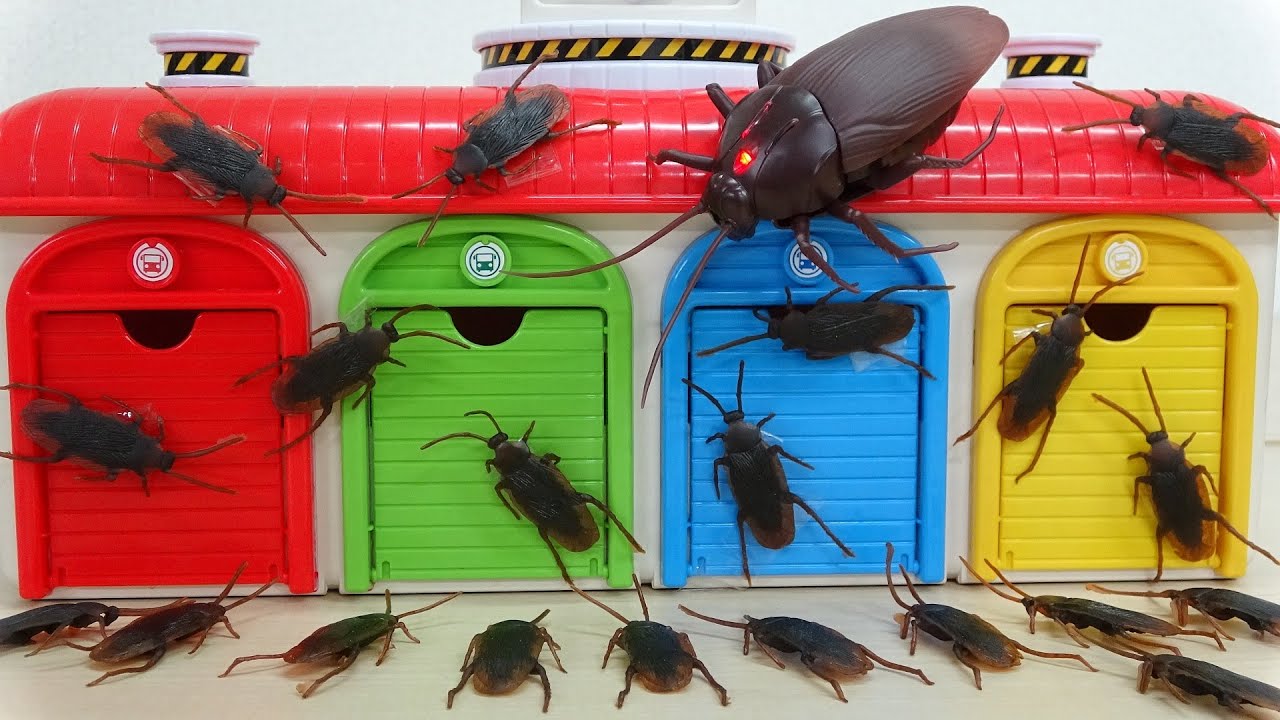 Tayo the little bus Gigantic Cockroach Toy Monster Eggs Insect Story ...