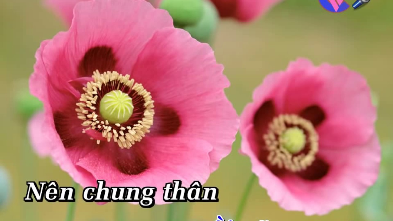 THOI DOI ANH DUNG - YouTube