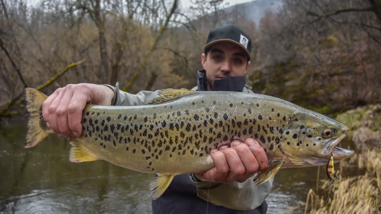 The perfect opening of the trout season Rapala Countdown Classic 2.5-10 g/Rapala Countdown Elite ...