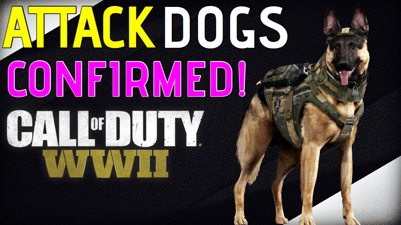 Call of Duty WW2 ATTACK DOGS CONFIRMED! NO THEATRE MODE! (CoD WWII ...