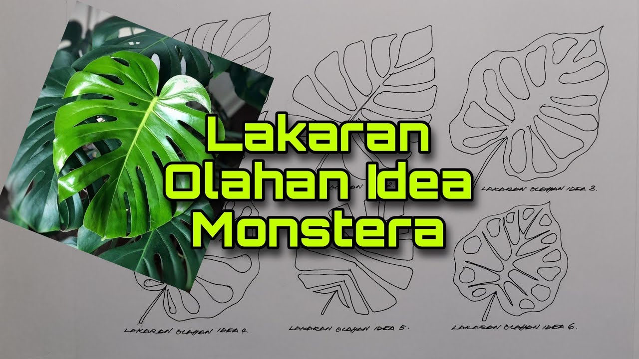LAKARAN Olahan Idea Daun Monstera | KRSV PSV - YouTube