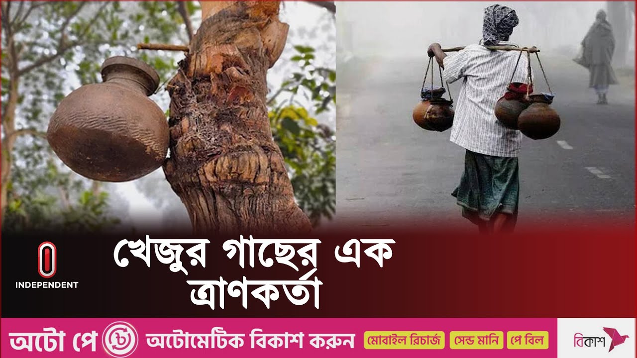 'খেজুরের রস' বাঁচিয়ে রেখেছেন যিনি | Khejurer Rosh | Independent TV ...