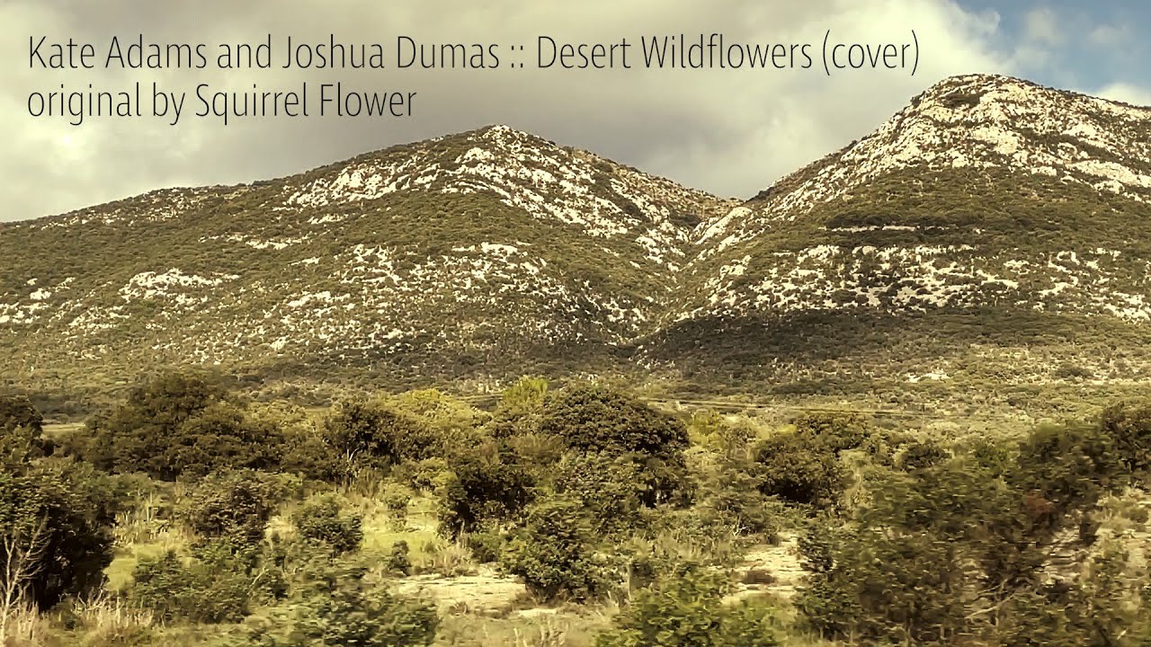 Desert Wildflowers [cover] - Kate Adams and Joshua Dumas (original by ...
