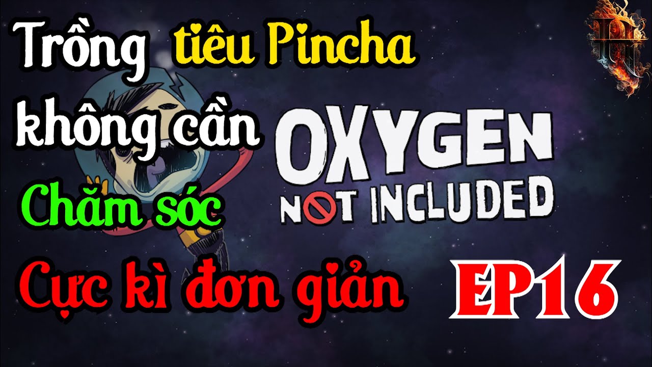 Mô hình trồng tiêu Pincha tự động không cần chăm sóc bằng Pip - ONI ...