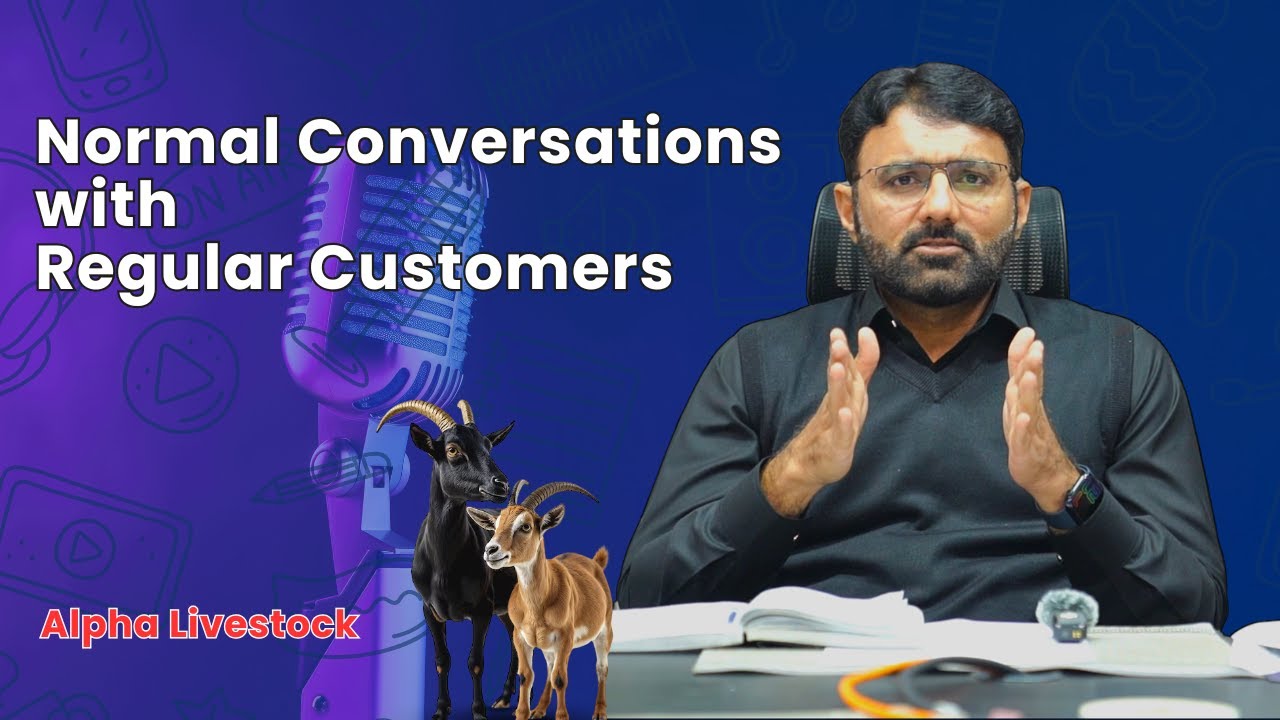 Normal Talk With Customer at Alpha Factory | Alpha Livestock - YouTube