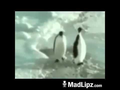 Du stinkst - YouTube