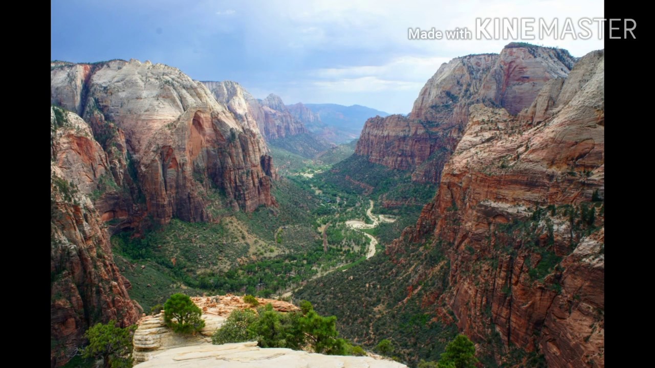 Morning_stroll chill musics - YouTube