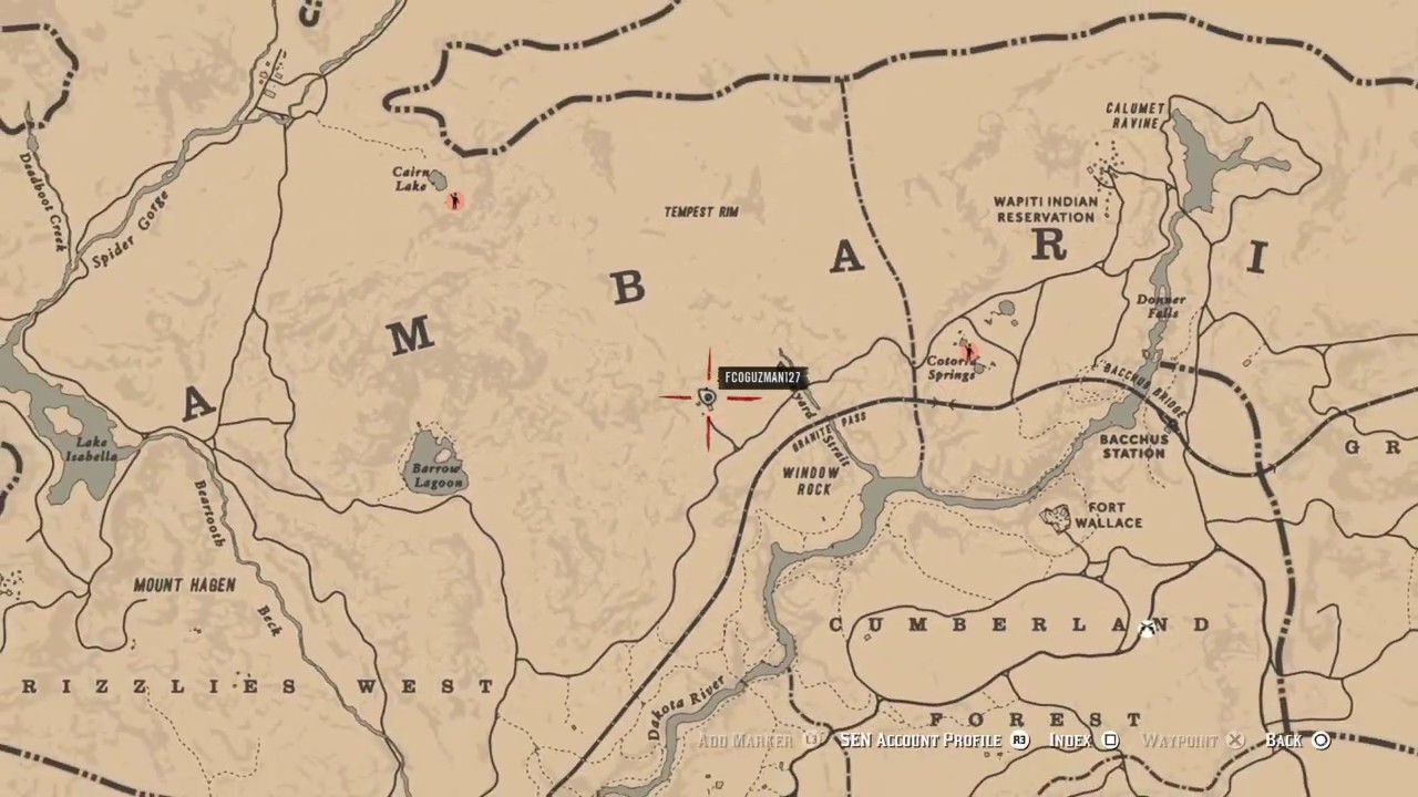 *5 PLANTAS DE GINSENG* 5 Alaskan Ginseng 1 Location - Red Dead Online ...
