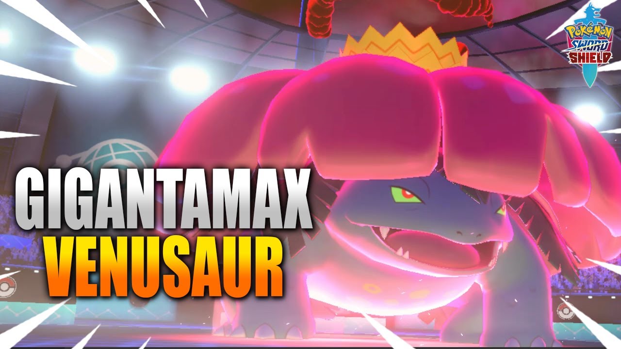 GIGANTAMAX VENUSAUR TEAM - Pokemon Sword and Shield VGC 2020 - YouTube