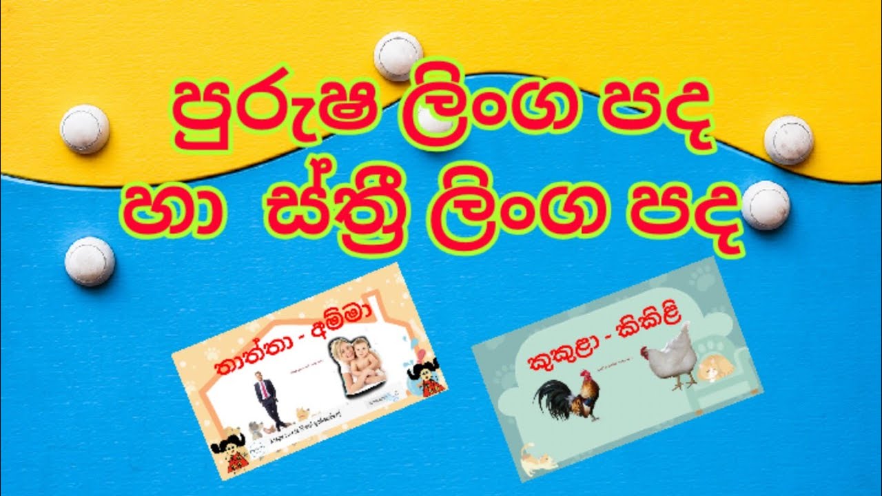 පුරුෂ ලිංග පද හා ස්ත්‍රී ලිංග පද|male words and female words in sinhala ...