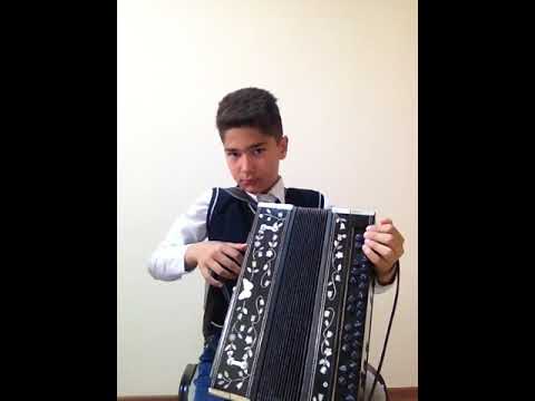 Muradov Bulut Basqalı Reksi