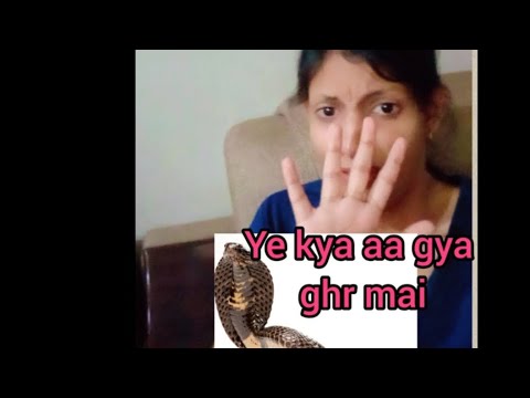 prank hua successful || prank on Nisha || Snake prank ...