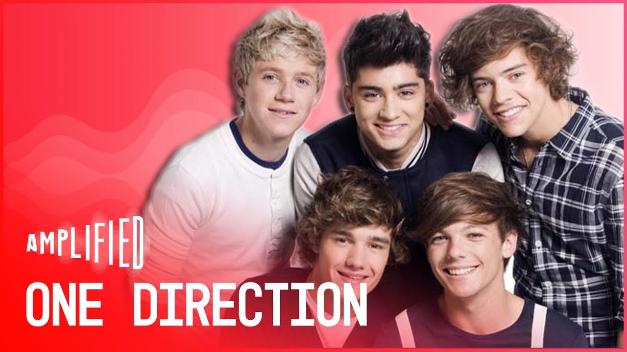One Direction: In Their Words (Rare Interview Compilation) | Amplified ...
