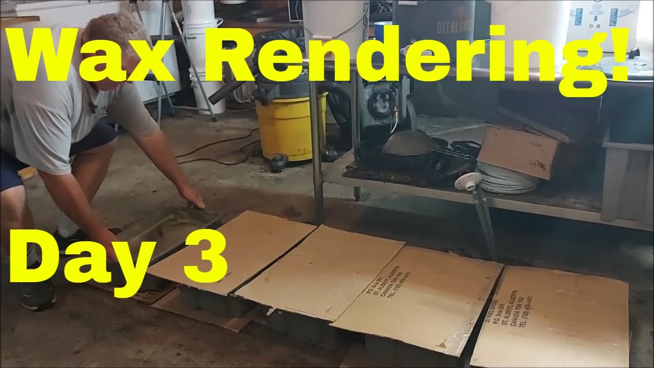 Wax Rendering Day 3-That Bee Man(re-upload) - YouTube