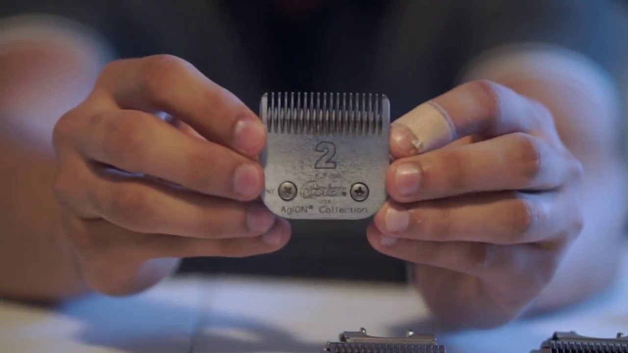 Learning your Metal , Plastic and Magnetic Guards 101 |HD| Beginners ...