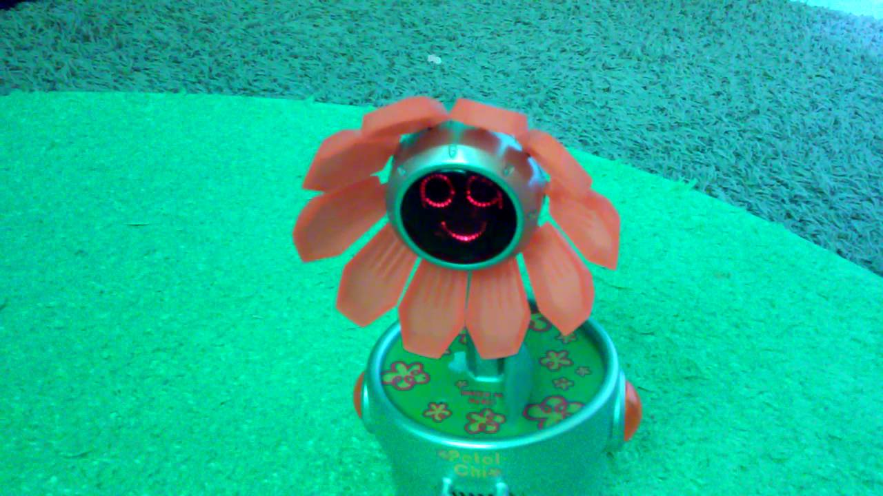 Playing with Petal-Chi: Stage 3: Young Lady - YouTube