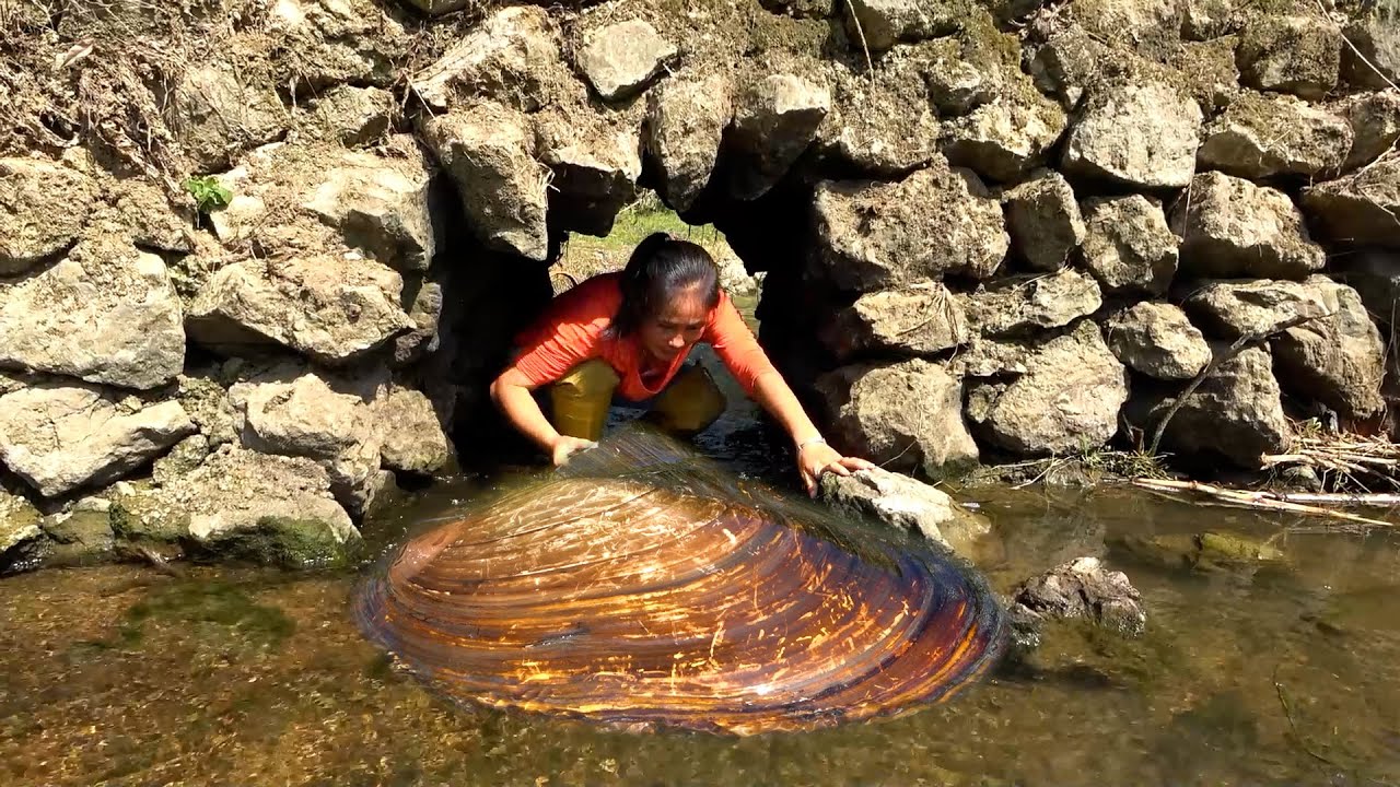 Some people say there are many big clams inside from here, but it's ...