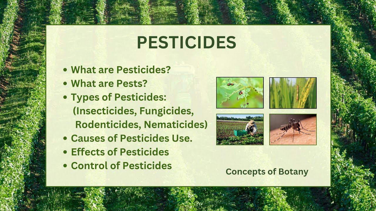 Pesticides| Pests| Types: Insecticides, Fungicides, Herbicides ...