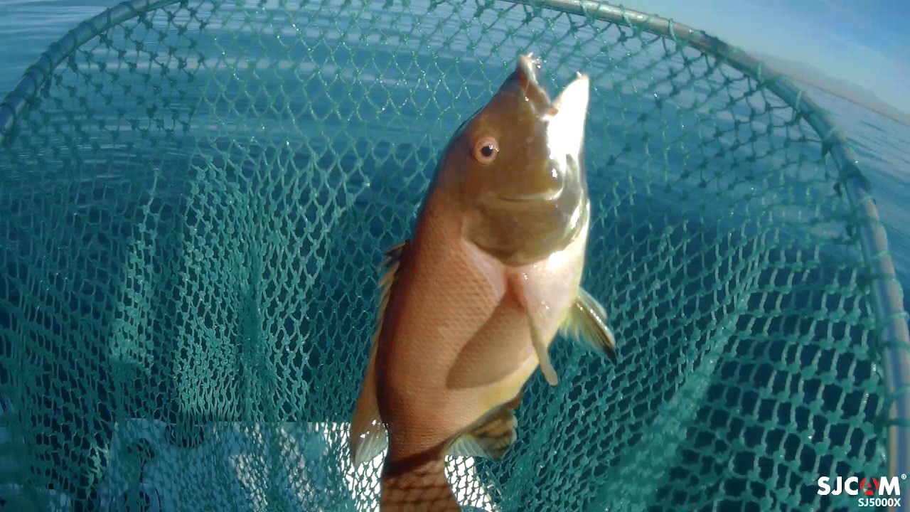 FISHING FOR CALIFORNIA SHEEPSHEAD IN LONG BEACH - YouTube
