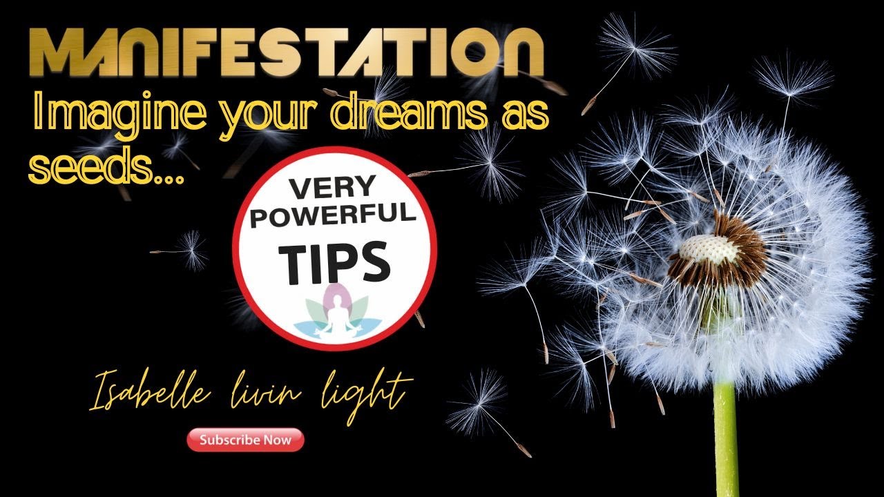 5 tips to MAKE YOU DREAMS COME TRUE / Imagine your dreams as seeds ...