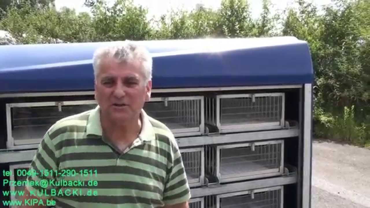 Pigeon transport Germany,Poland,Ukraine KULBACKI RACING PIGEON STUD ...