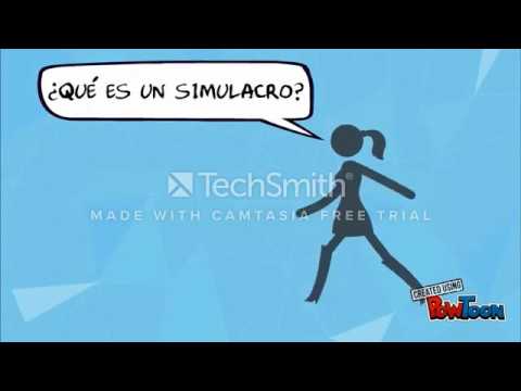 VIDEO SIMULACRO Y SIMULACION - YouTube