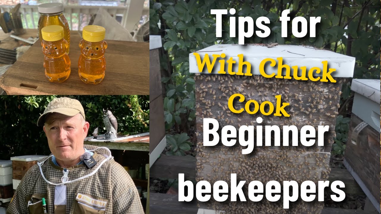 Beekeeping Segment | Tips for Beginner beekeepers WITH Chuck Cook - YouTube