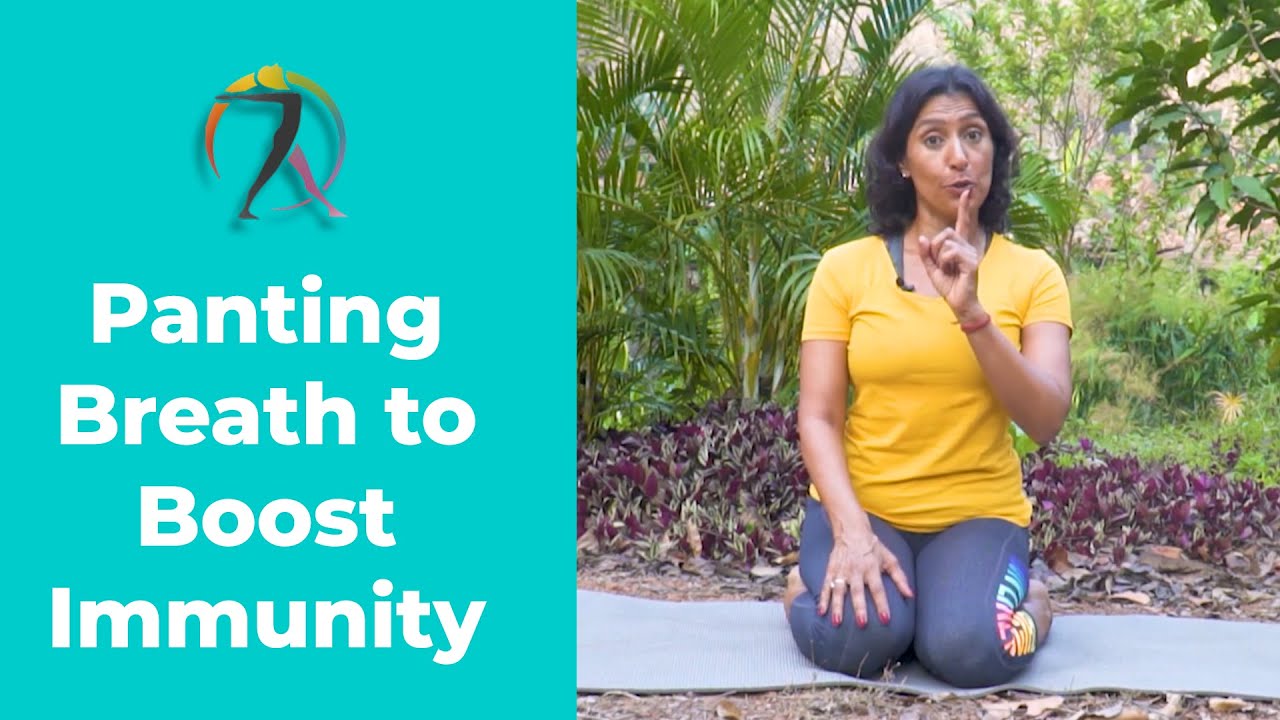 Panting Breath To Boost Immunity | Faster Recovery From Corona | The ...