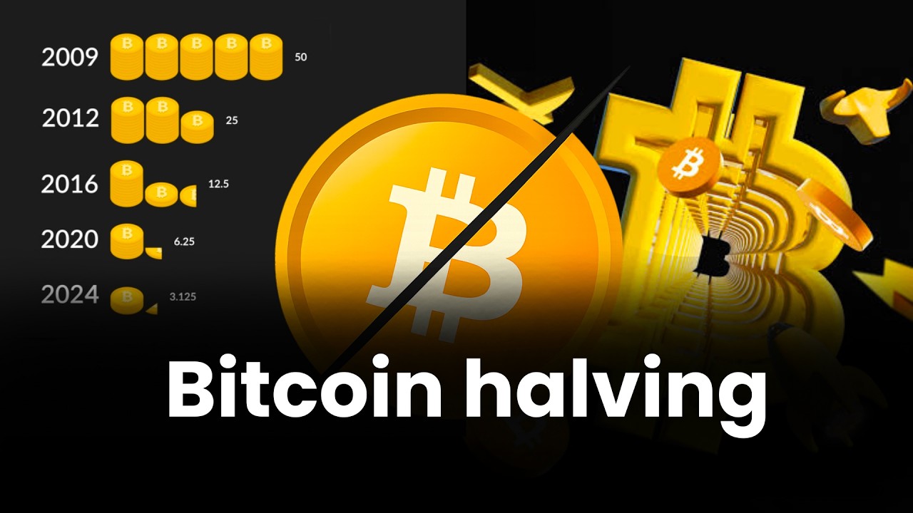 Sering denger bitcoin halving, tapi gak tau apa gunanya? - YouTube