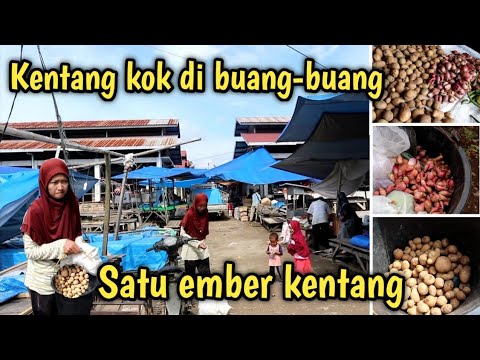 KENTANG MINI⁉️ MARILES MARI MELELES - YouTube