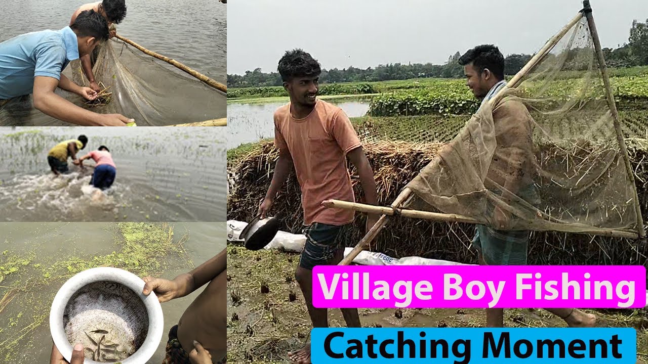 Village Boys Catching Fish By Traditional Polo Fishing Trap Of Bamboo ...
