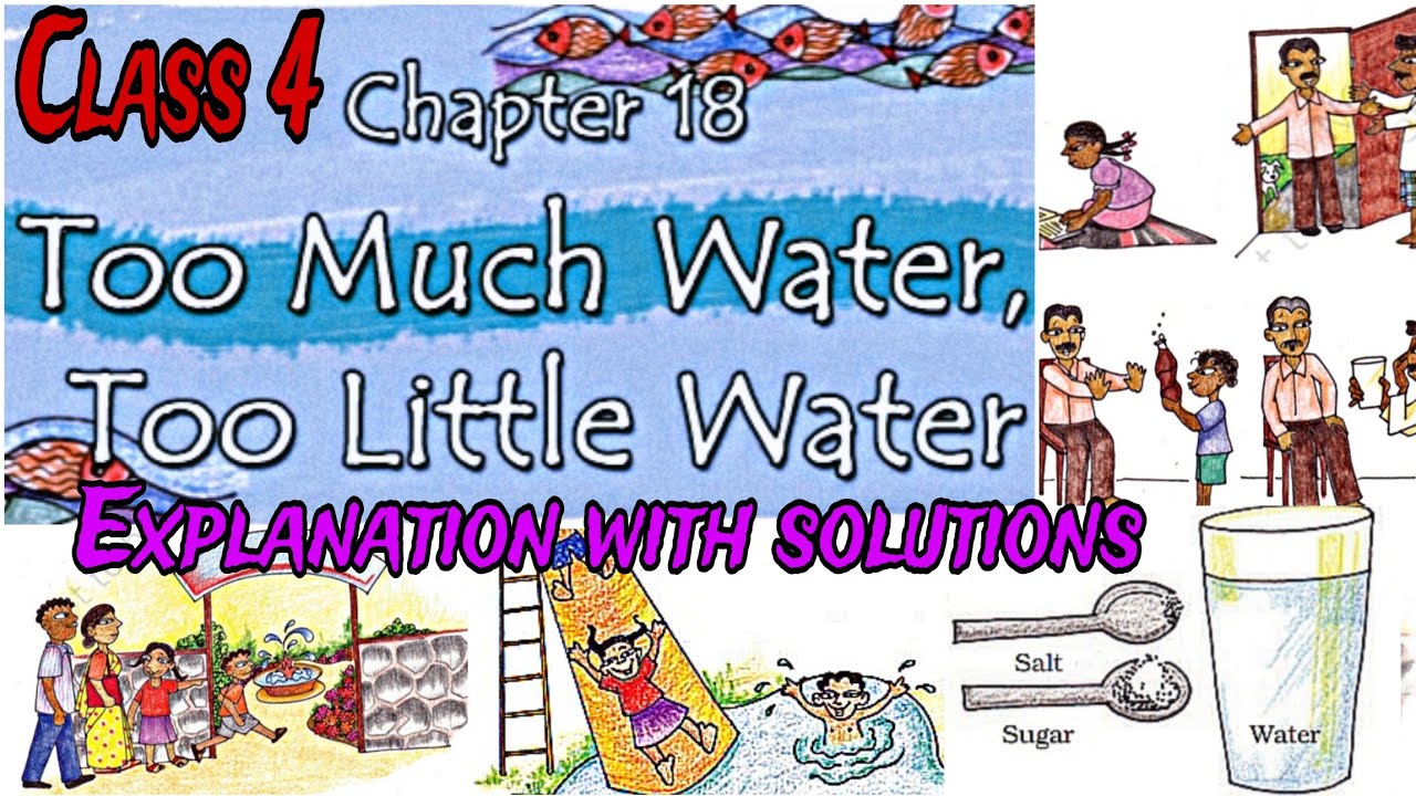 Class4 EVS Ch18, Too much water too little water#explanation - YouTube