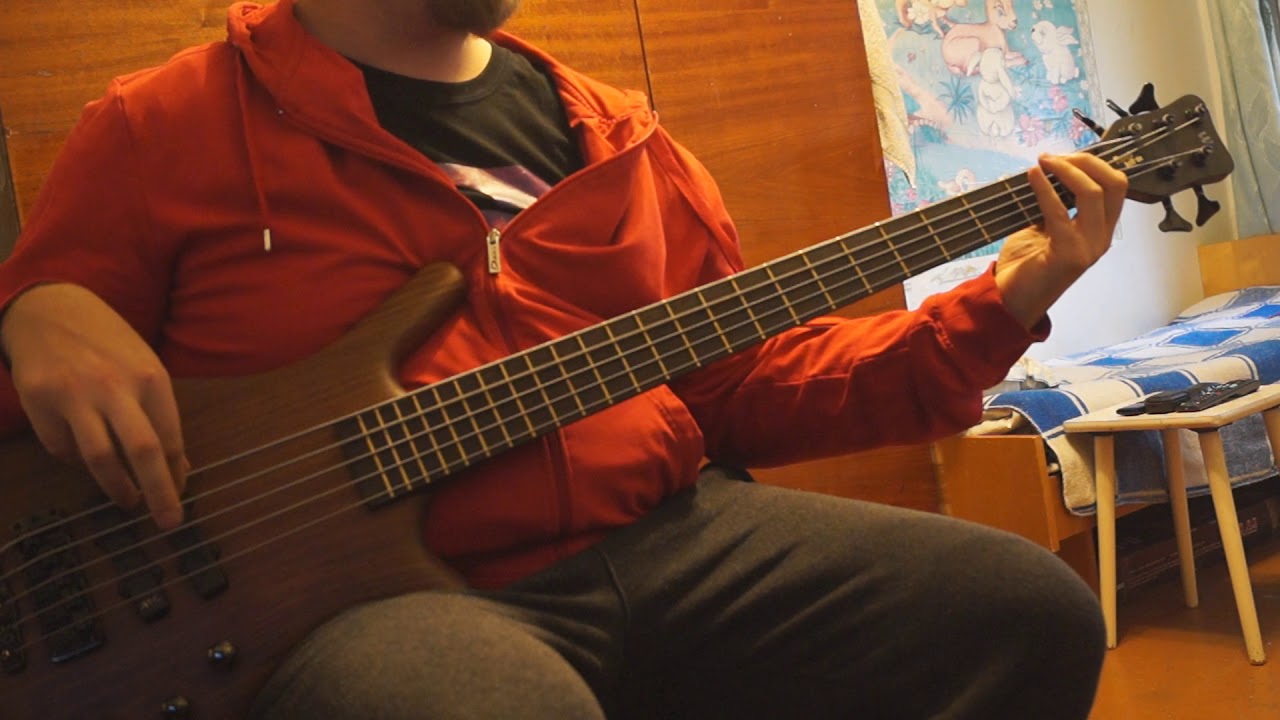 SOAD - Lonely day (Bass cover) warwick BO 5 1998 - YouTube