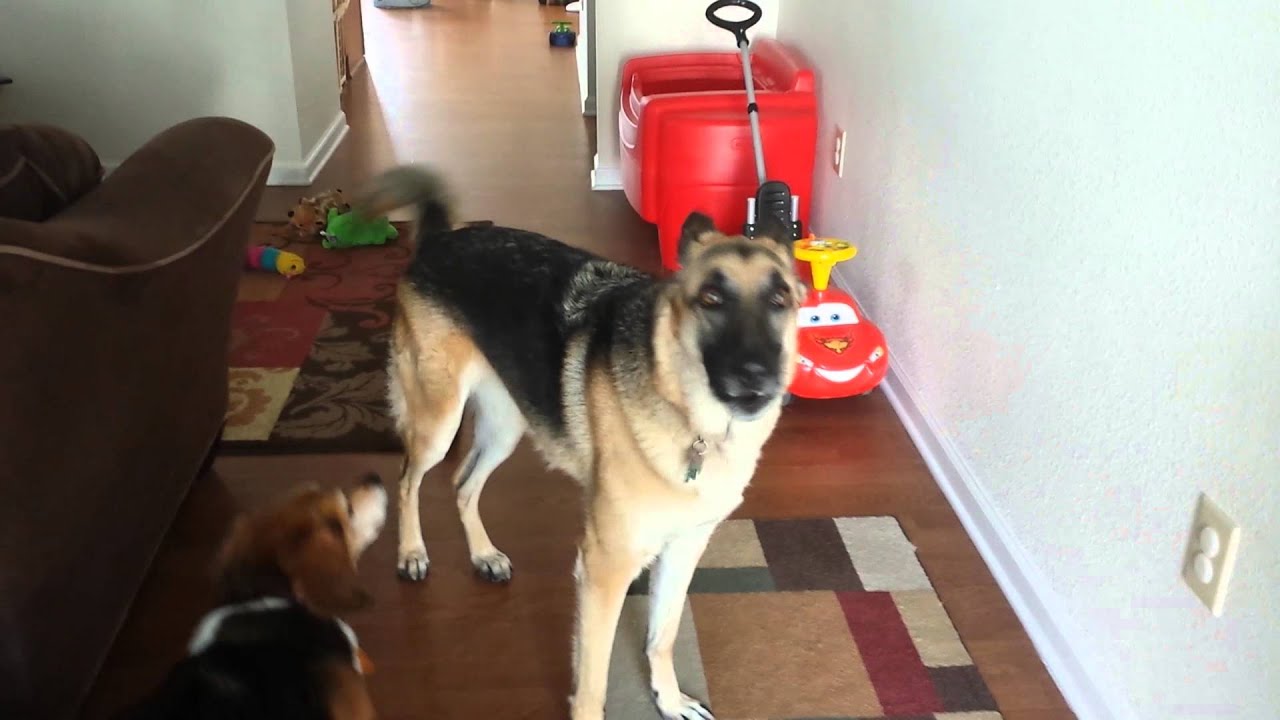 DAISY speaks.lol. Dory too - YouTube