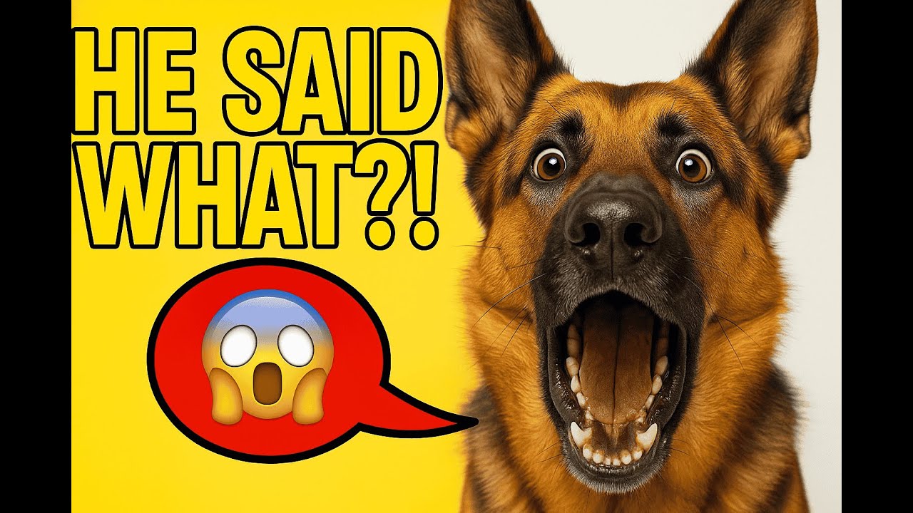 Funniest Talking Dogs Ever Caught On Camera - YouTube