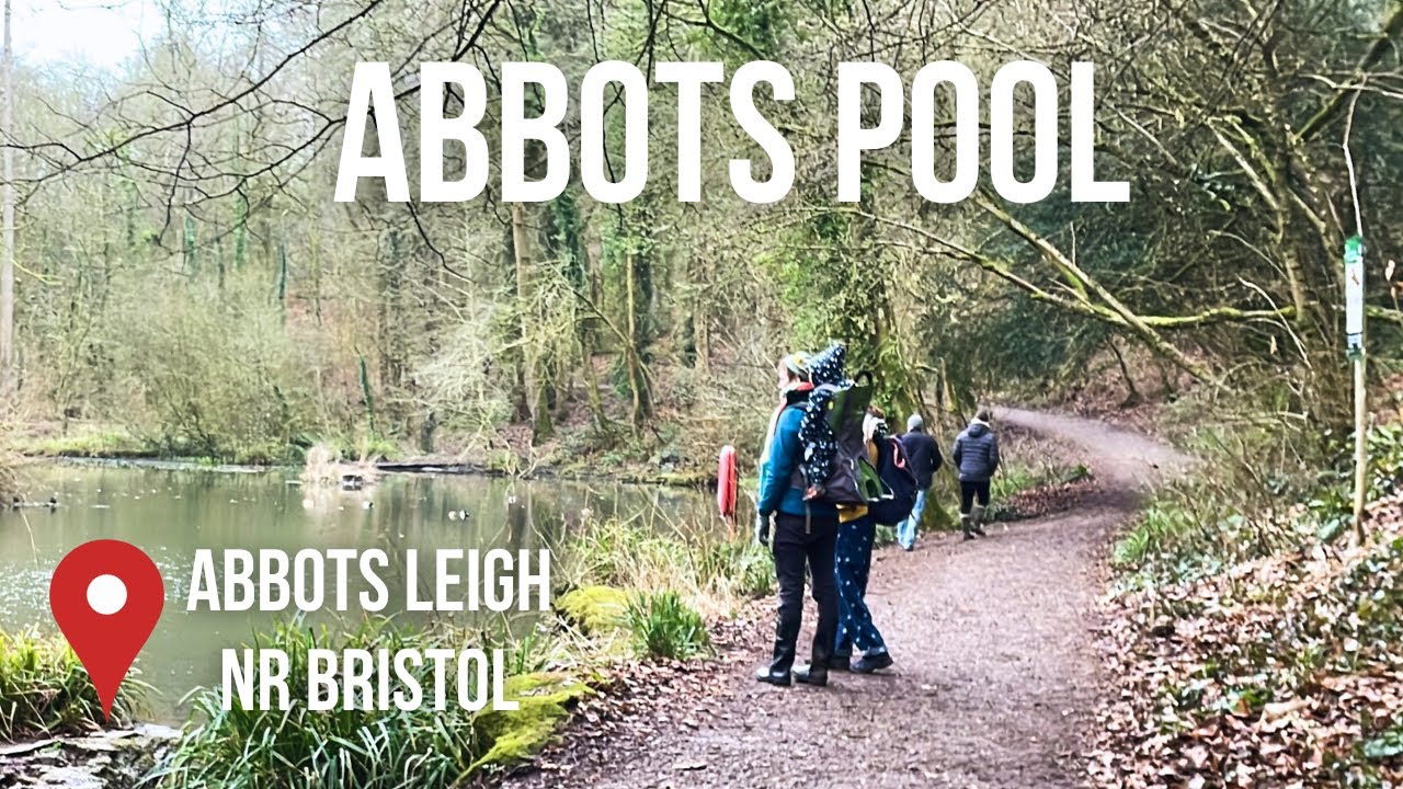 Abbots Pool Woodland Walk | ABBOTS LEIGH | North Somerset - YouTube