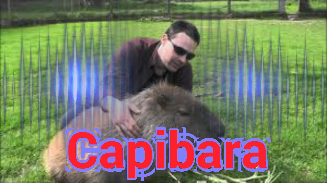 Top 7 cele mai mari animale terestre - YouTube