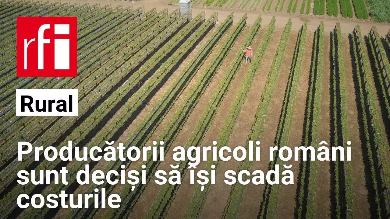 Fermierii români, atenție sporită la costuri • RFI România - YouTube