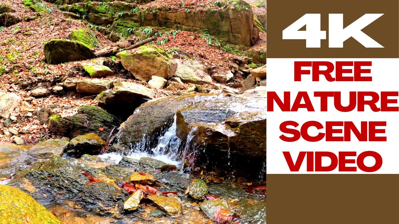 nature 4K 369 👉 Nature Scene Video - YouTube