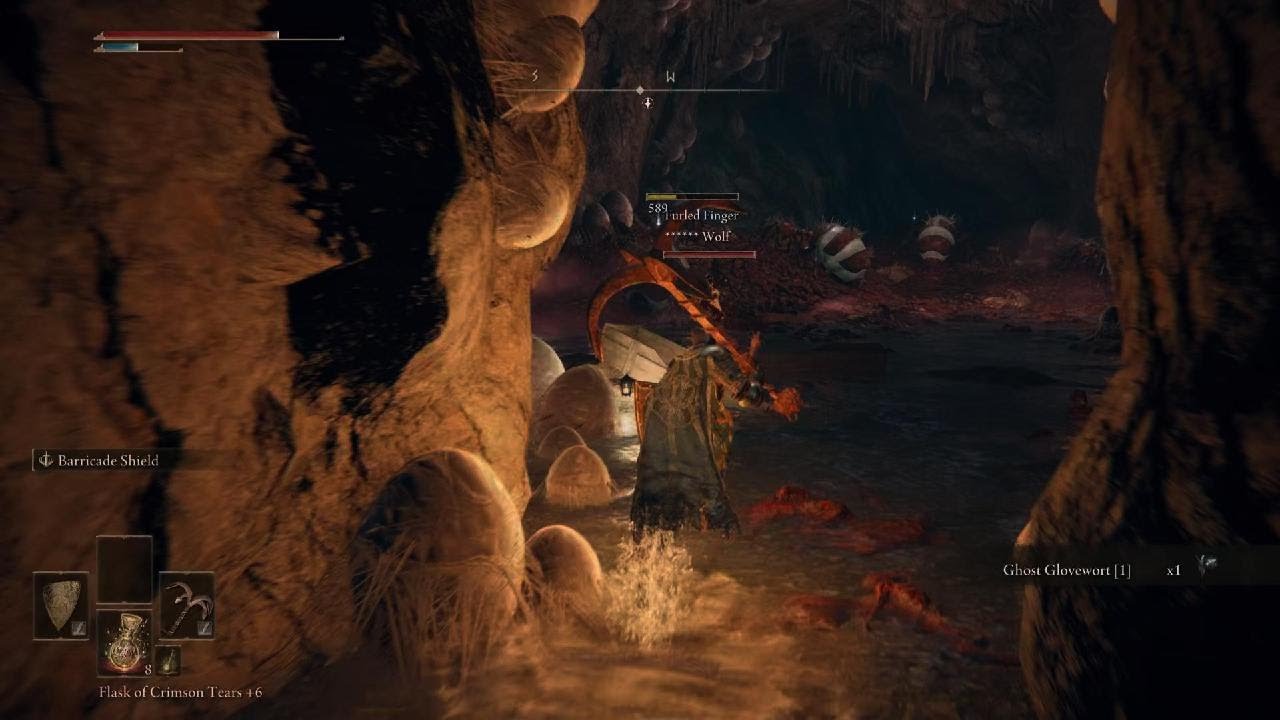 ELDEN RING giant ants - YouTube