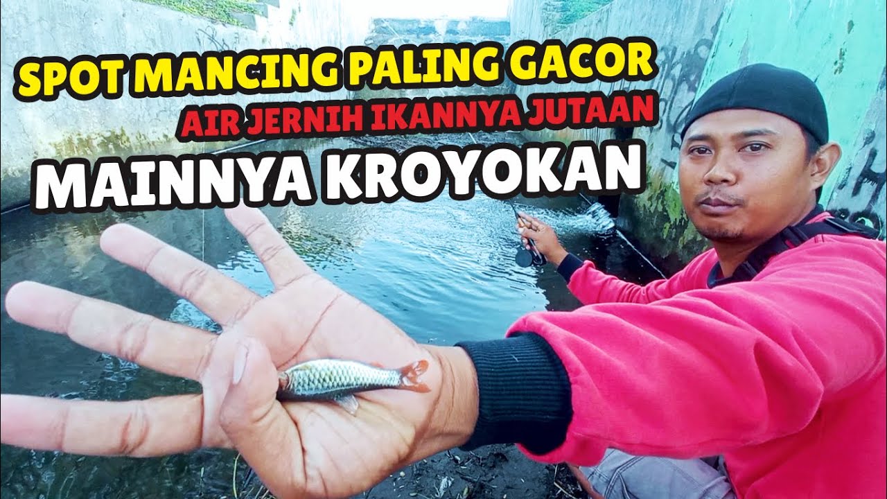 Microfishing Mancing Wader Di Bawah DAM Dengan Umpan WaderLite Ikannya Kroyokan - YouTube